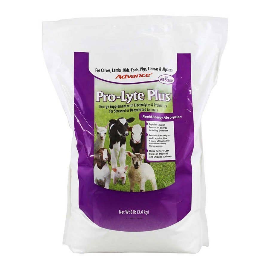 Advance Pro-Lyte Plus Multi-Species Nutritional Energy Supplement