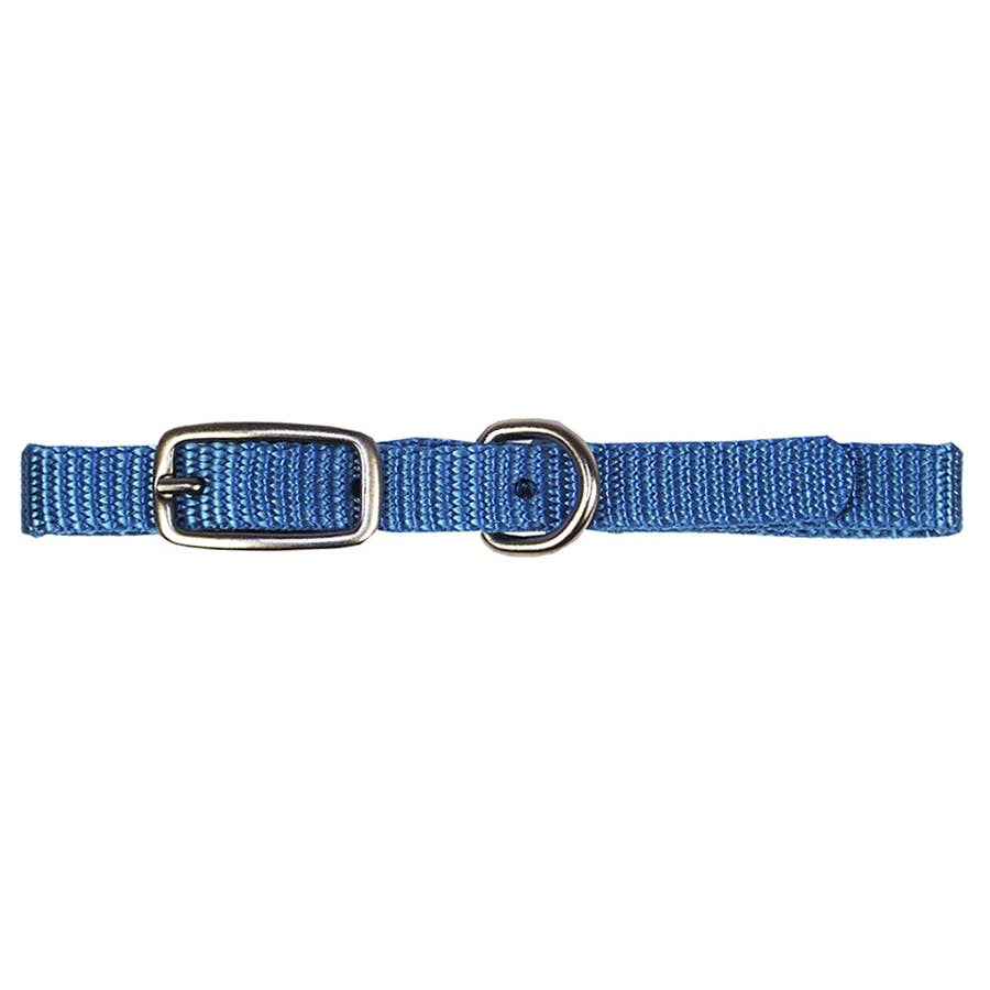 Hamilton Single Thick Deluxe Dog Collar