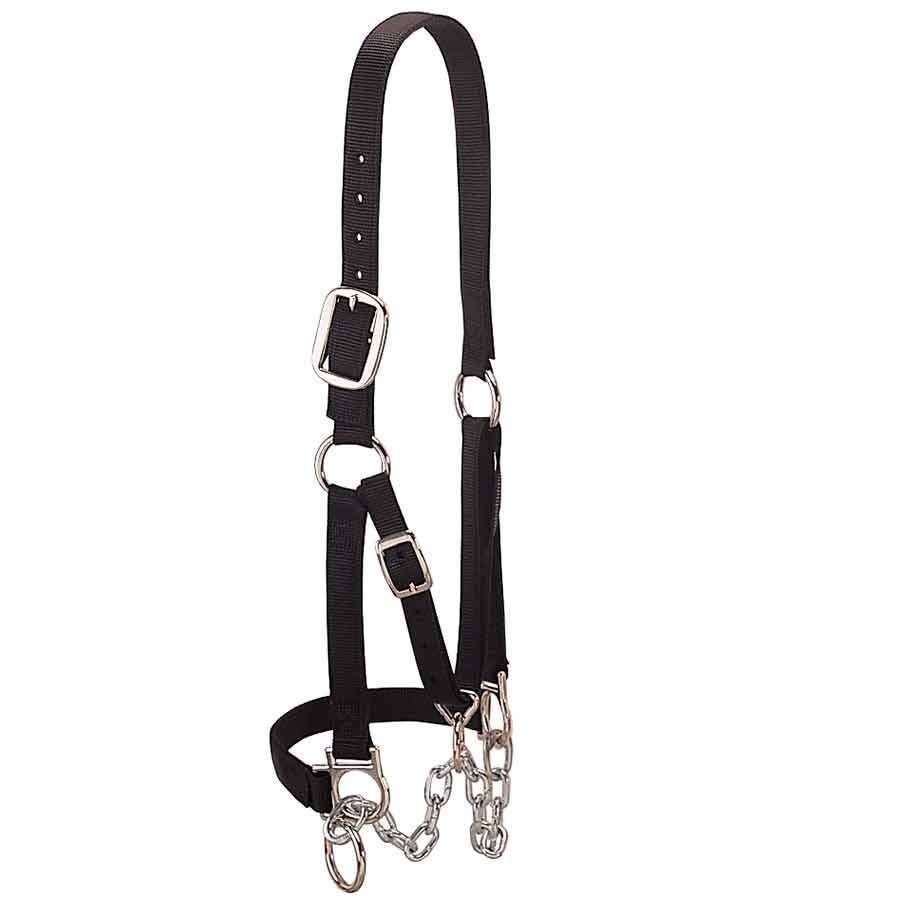 Weaver Medium Heavy-Duty Restraint Halter