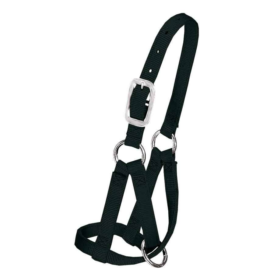 Weaver 3/4"" Medium/Large Llama Halter
