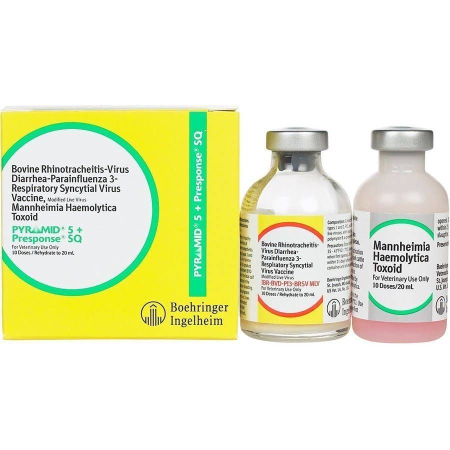 Pyramid® 5 + Presponse® SQ Cattle Vaccine
