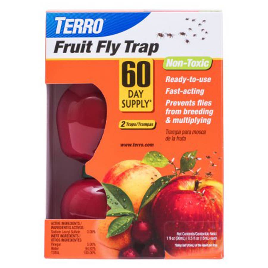 TERRO Fruit Fly Trap