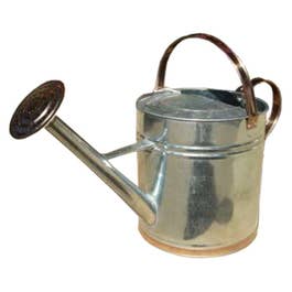 DDI Inc. Backyard Expressions Galvanized Watering Can - 1 Gal.