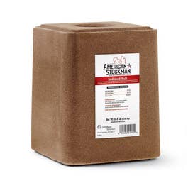 American Stockman Iodized Salt - 50 Lb. Block