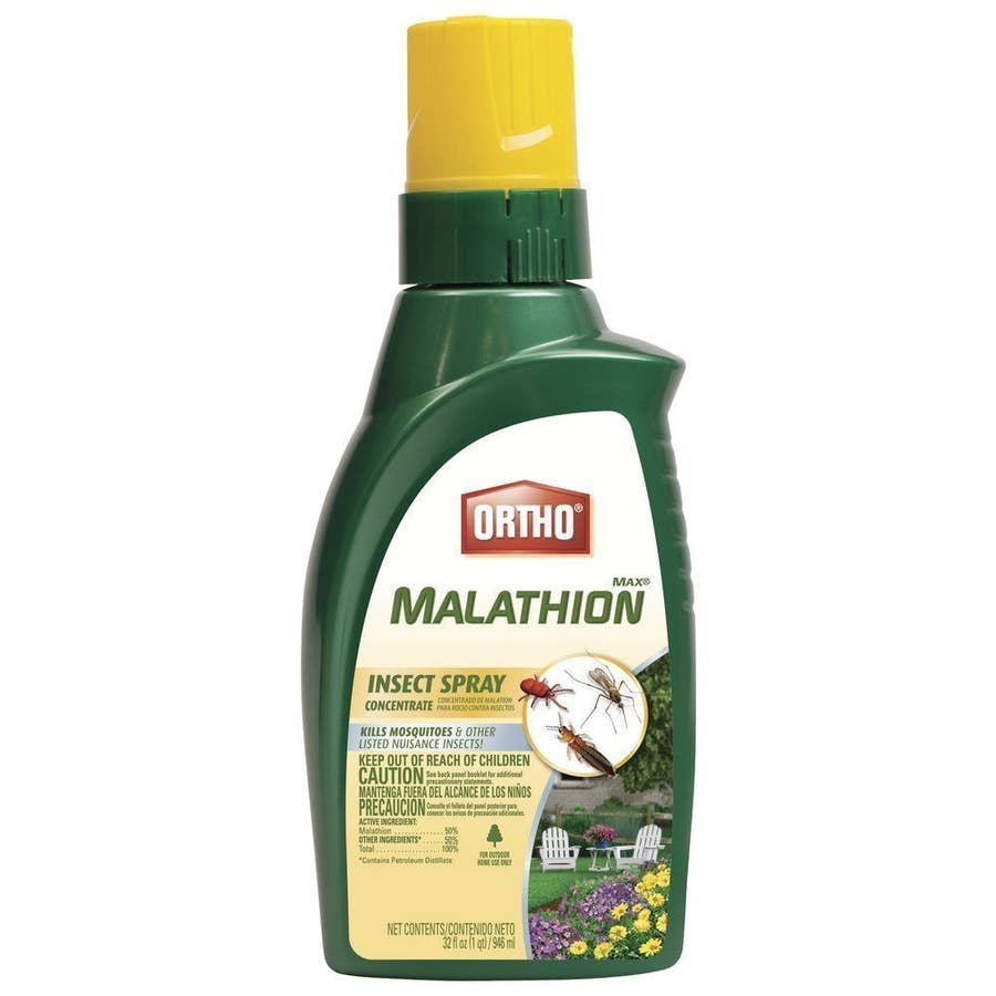 Ortho Malathion Insect Spray Concentrate - 32 Oz.