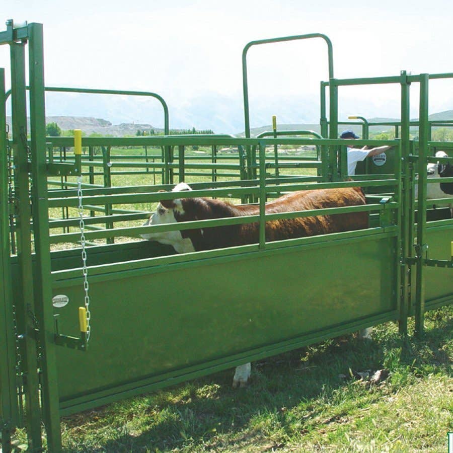 Powder River Classic Deluxe Cattle Chute Alley - 20' X 60