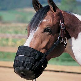 Weaver Grazing Muzzle