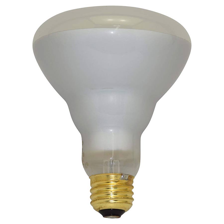 Sylvania R30 Reflector Flood Spot Light Bulb - 2 pk