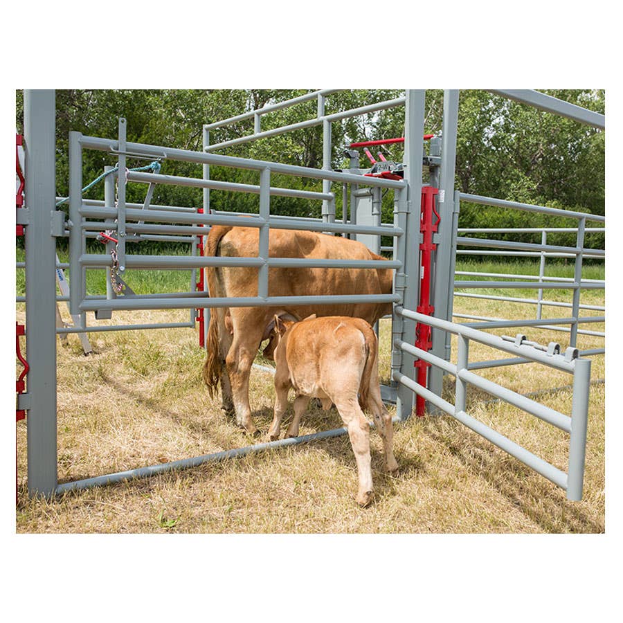 2W Livestock Equipment 400 Series Heavy Duty High Pole Split Gate