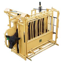 For-Most Livestock Equipment Calf Table with Head Catch