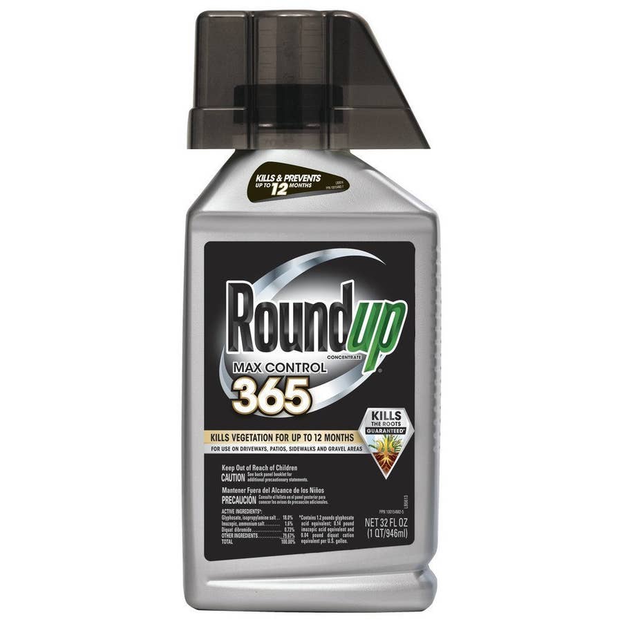 Roundup Concentrate Max Control 365 - 32 Oz.