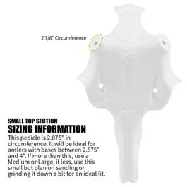Mountain Mike's Skull Master Universal Deer European Mount Kit